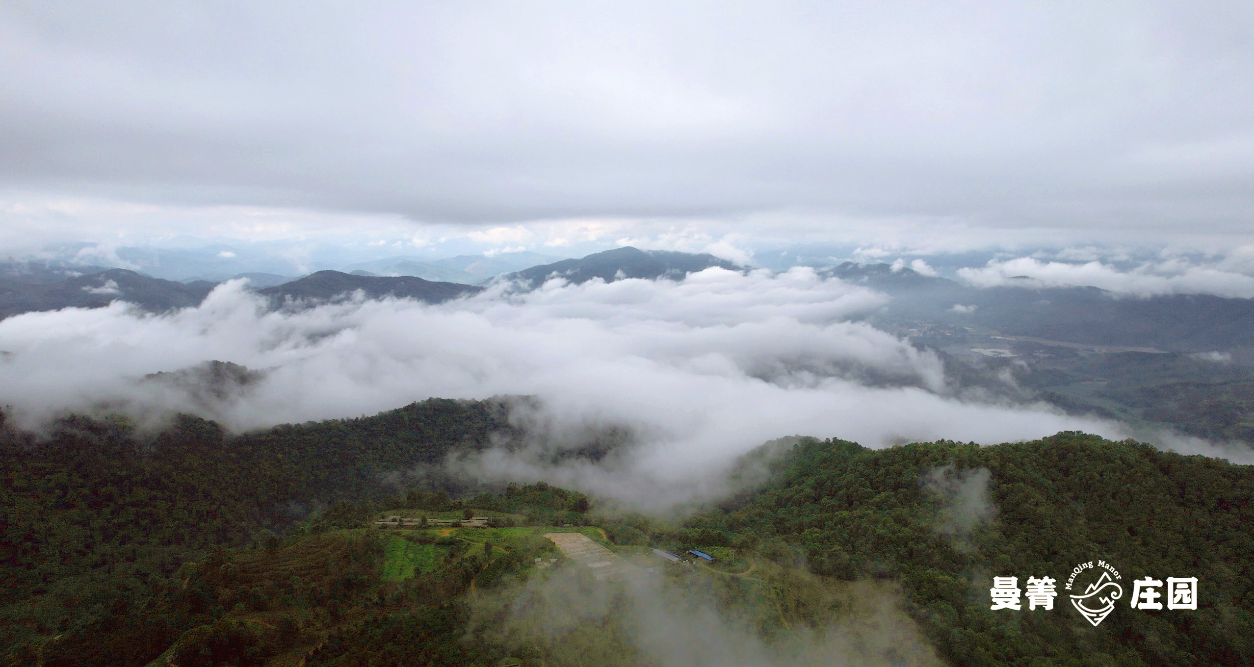 Manqing Coffee Farmについて – SHOP COFFEE : PURE PEAKS